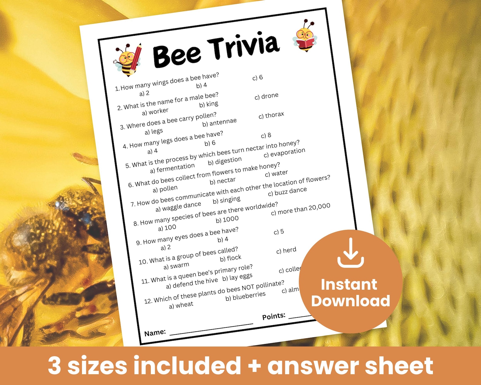 Bee Trivia Game, Printable Honeybee Trivia Game for Kids and Adults ...