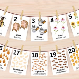 Number Flashcards Printable 1-20, Use for Homeschool, Preschool, Bee ...