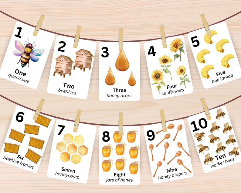 Number Flashcards Printable 1-10, Use for Homeschool, Preschool, Bee ...