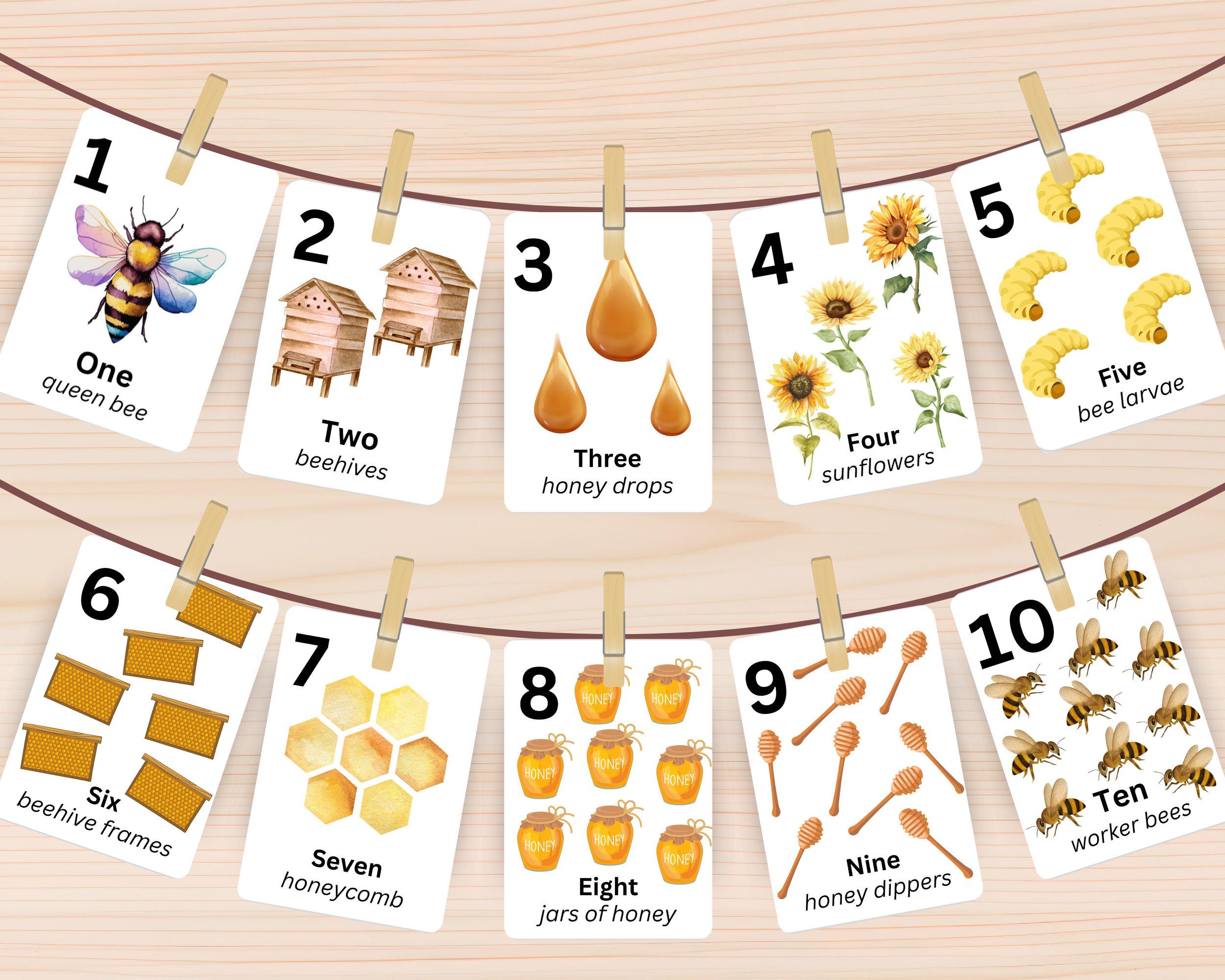 Number Flashcards Printable 1-10, Use for Homeschool, Preschool, Bee ...