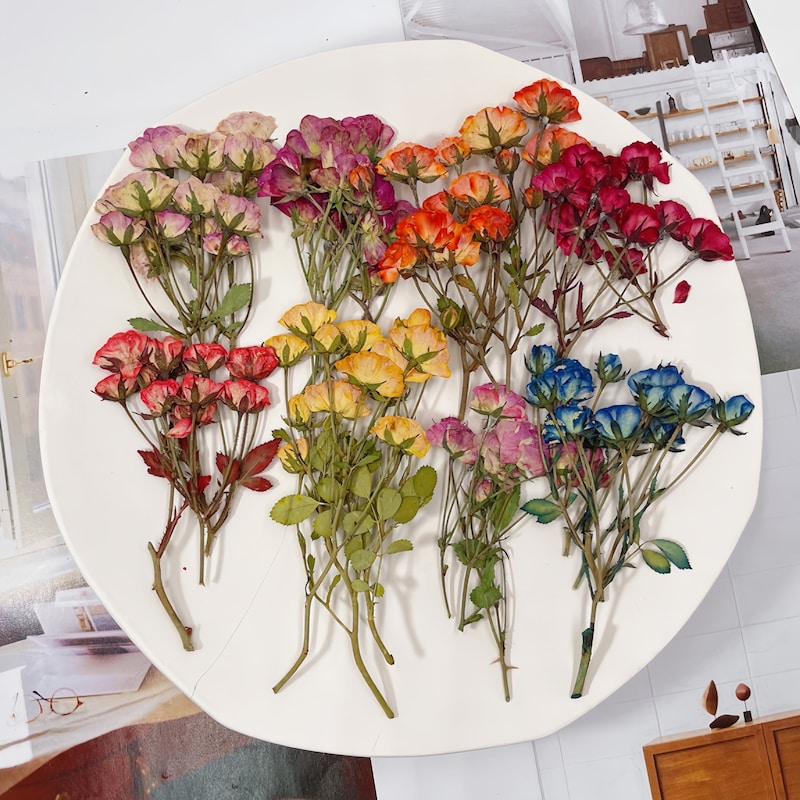 Pressed Roses - Etsy