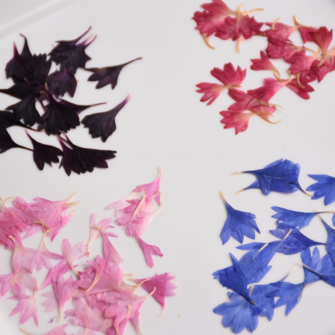 20-piece Pressed Cornflower | Mini Flowers | Edible Flowers - Etsy
