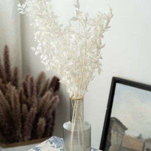 White Ruscus Branches, Premium Bleached Italian Ruscus, Dried DIY ...