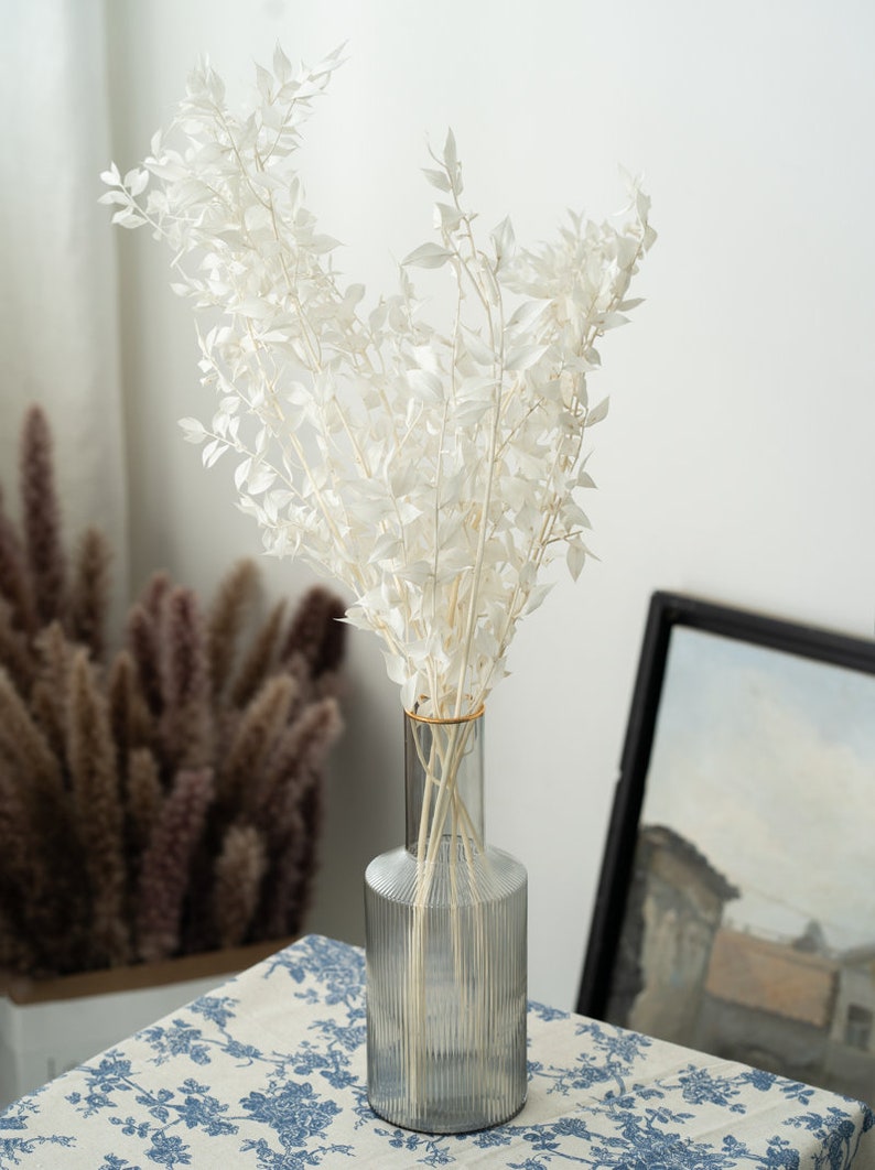 White Ruscus Branches Premium Bleached Italian Ruscus Dried - Etsy