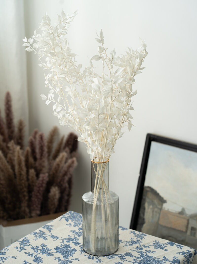 White Ruscus Branches Premium Bleached Italian Ruscus Dried - Etsy