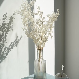 White Ruscus Branches, Premium Bleached Italian Ruscus, Dried DIY ...