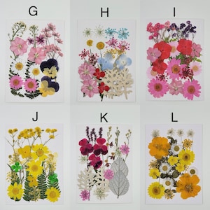 Dried Pressed Flowers and Leaves for Resin, Jewelry DIY, Card Making ...