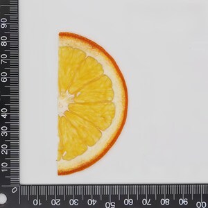 Pressed Fruits Collection - Etsy