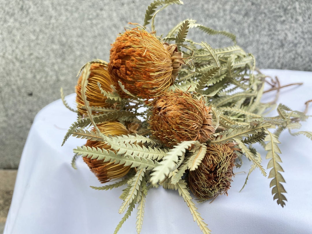 Preserved Natural Banksia Protea Flowers,dried Flowers, Home Decor ...