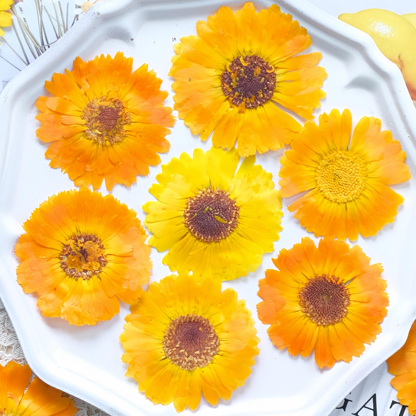 8-piece Pressed Calendula | Edible - Etsy
