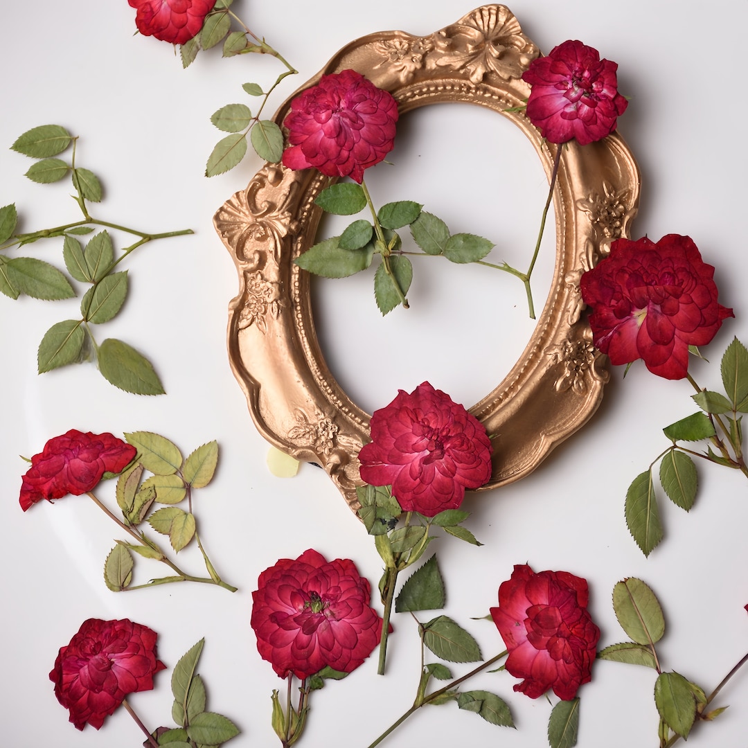 12-piece Pressed Rose With Leaves Dried Pressed Flower Pressed Flower ...