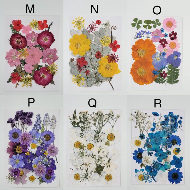 Pressed Flower Mix | Real Dried Flowers for Resin, Scrapbooking, Candle ...