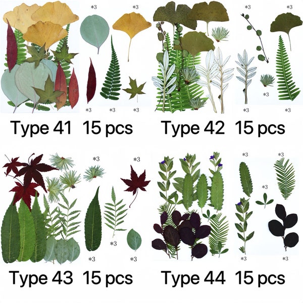 Pressed Leaves - Etsy