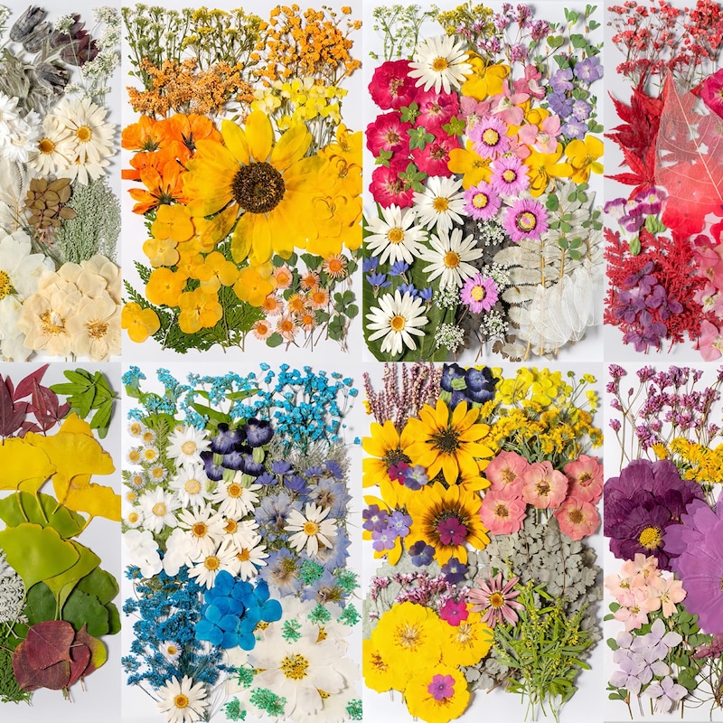 Small Gifts Flower - 60+ Gift Ideas for 2026