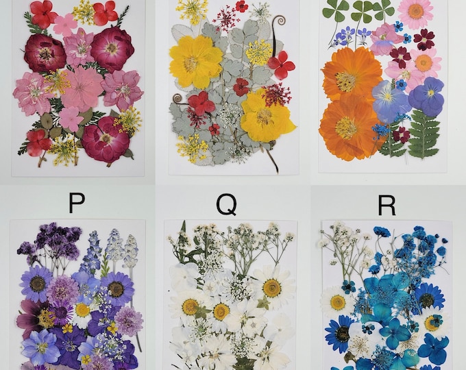 Dried Snapdragon Flower Stems antirrhinum Majus - Etsy