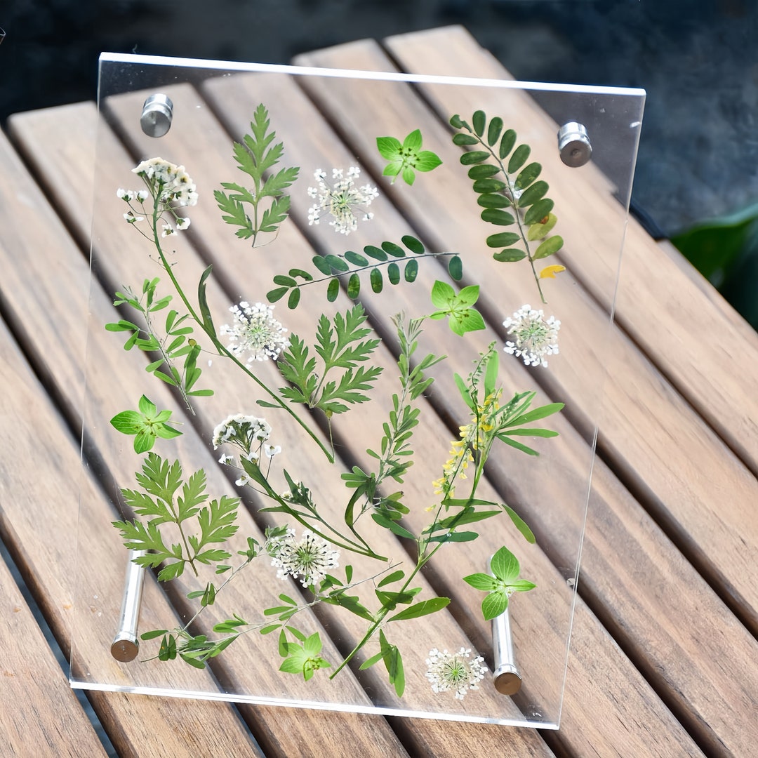 Pressed Flower Frame DIY Kit - Etsy