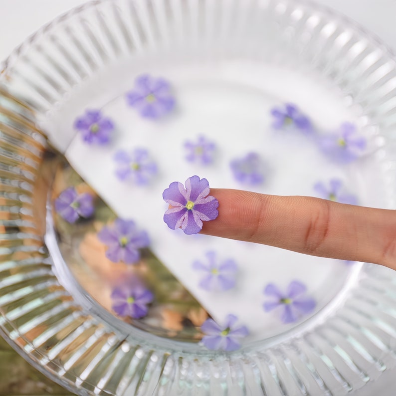 12-piece Pressed Verbena - Etsy