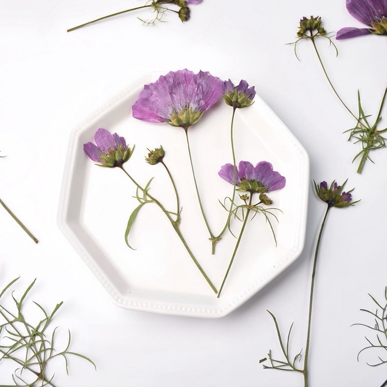 6-piece Side-pressed Cosmos | Food Safe - Etsy