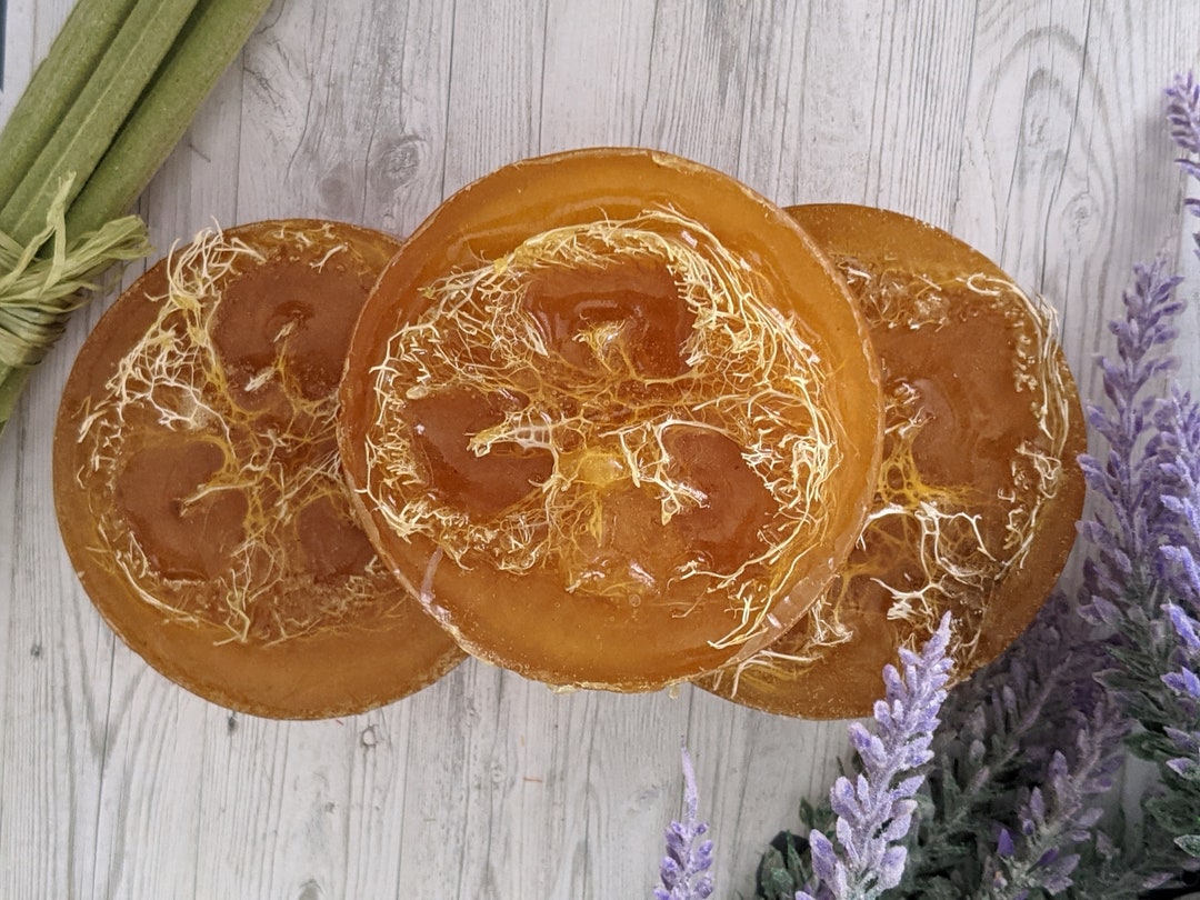Exfoliating Goats Milk Loofah Set of 3 | Handcrafted Luffa Soaps ...