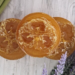 Exfoliating Goats Milk Loofah Soap | Handcrafted Luffa Soap | Handmade ...