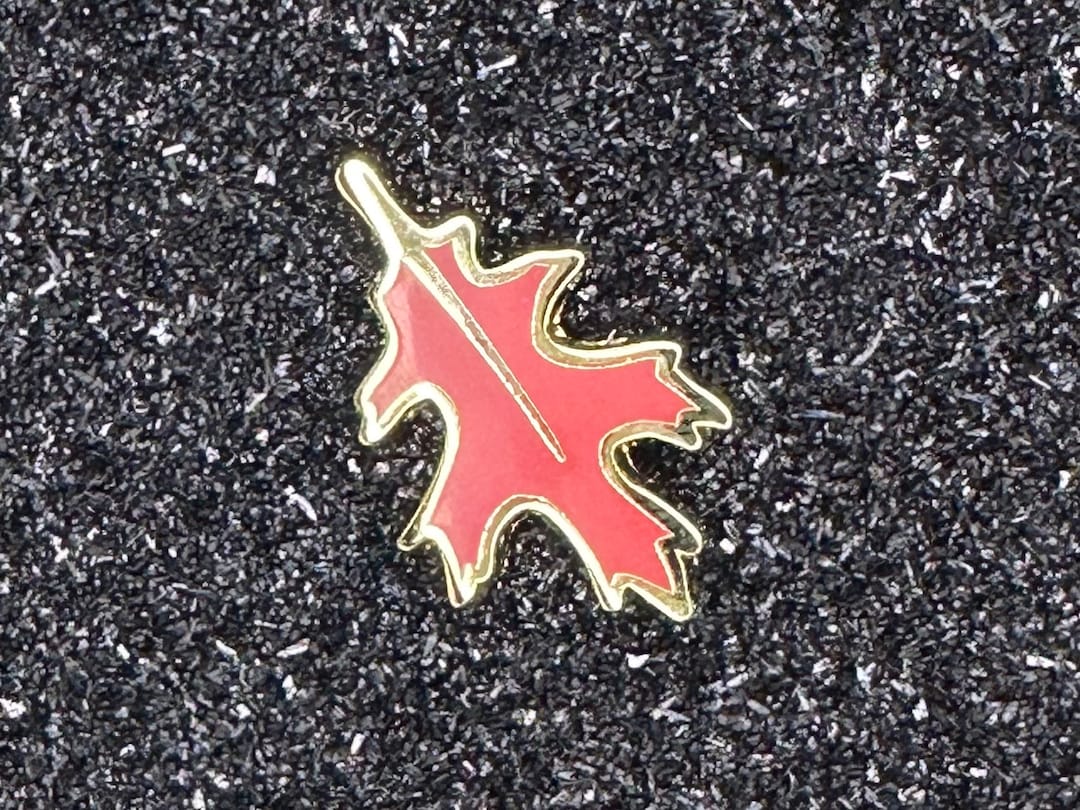 Red Oak Leaf Enamel Pin, Fall Pin, Texas Pin Oak, Board Filler, Fall ...