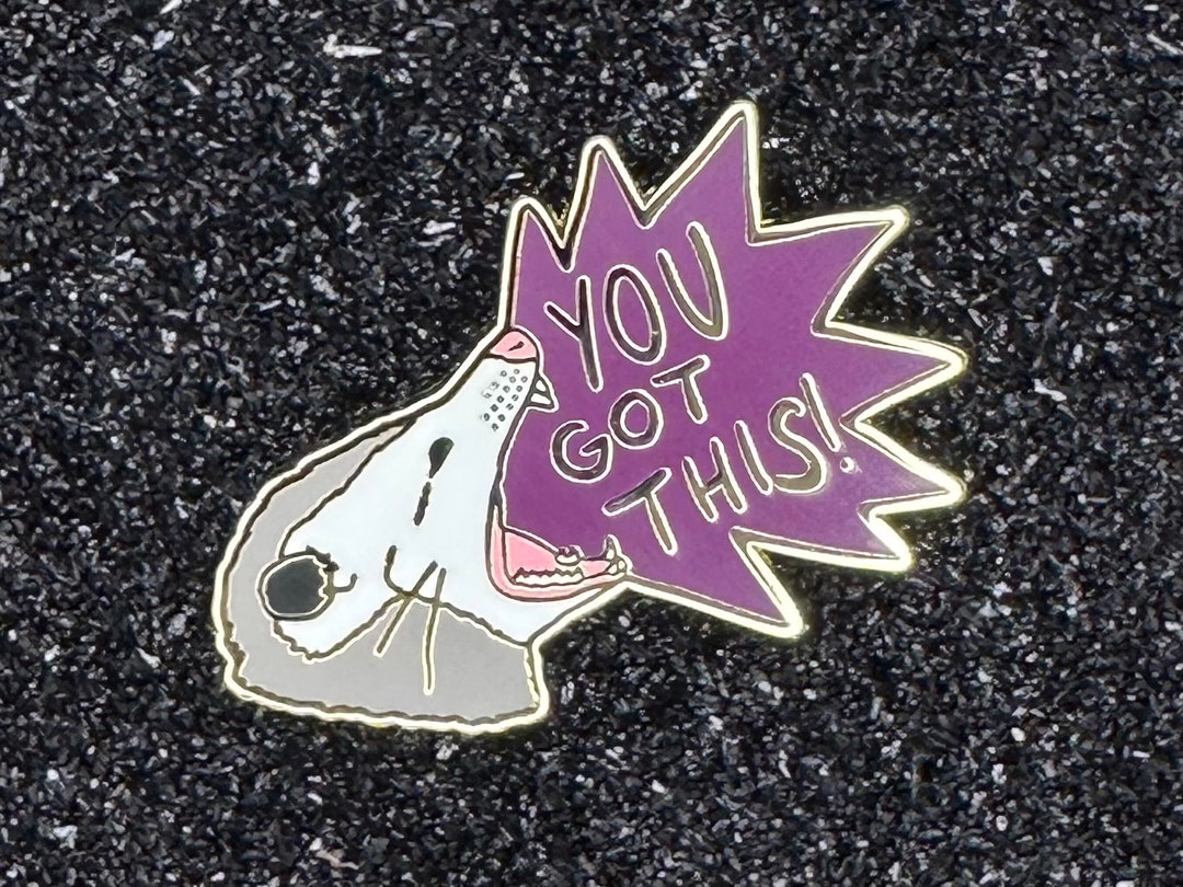 Motivational Possum Pin, You Got This Possum Friend, Hard Enamel Pin ...