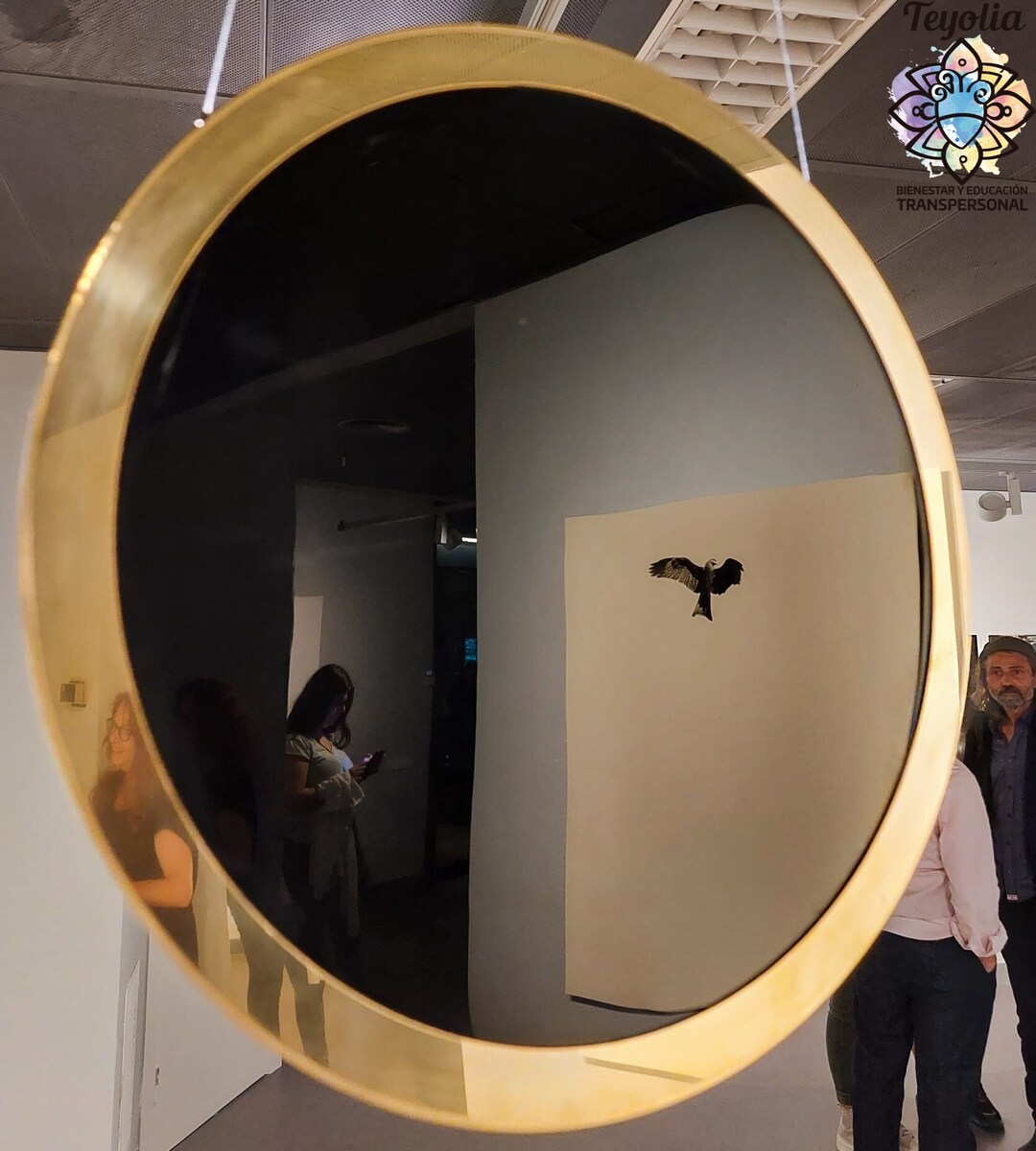 Extraordinary 30 Cm / 11.81 Inches Mexican Obsidian Mirror Volcanic ...