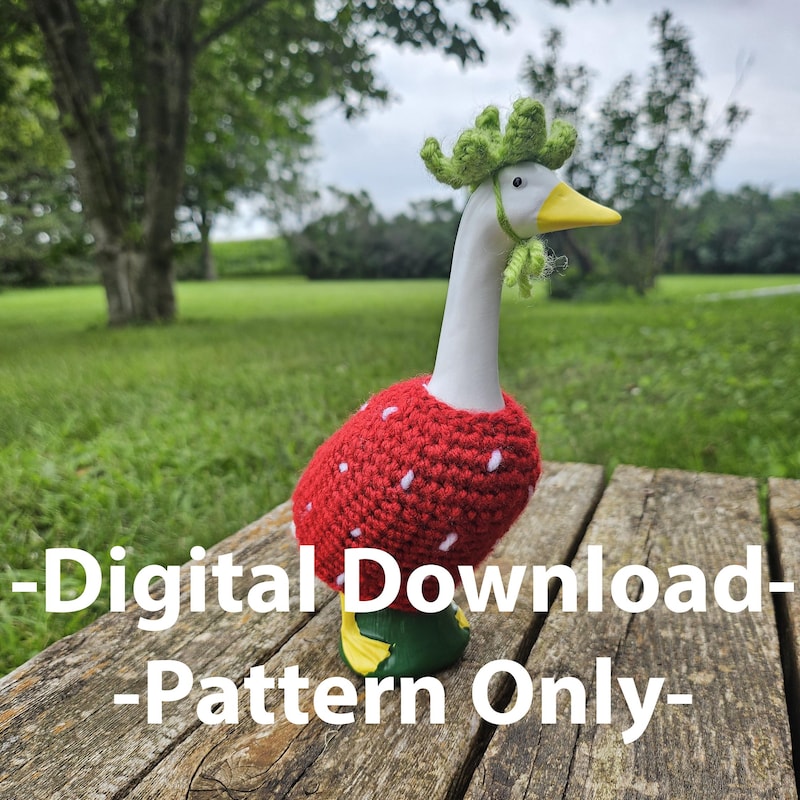 Desk Goose Outfits 7 Inch - Etsy