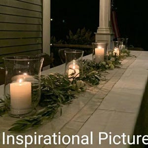 Olive Tree Live Plant; Long-stemmed Olive Branches for Wedding, Party ...