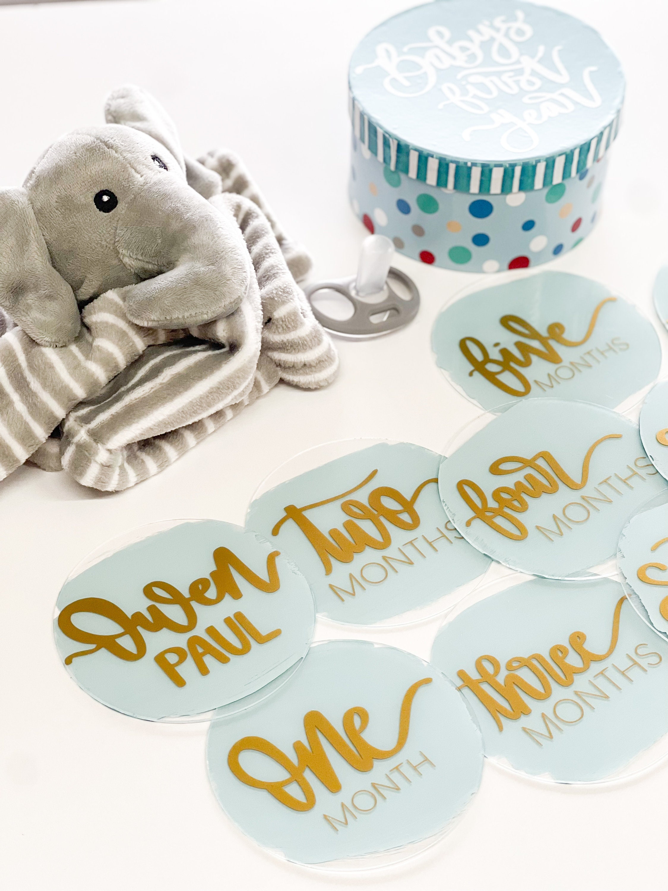 Baby Monthly Milestone Disc Acrylic Baby Milestone Disc - Etsy