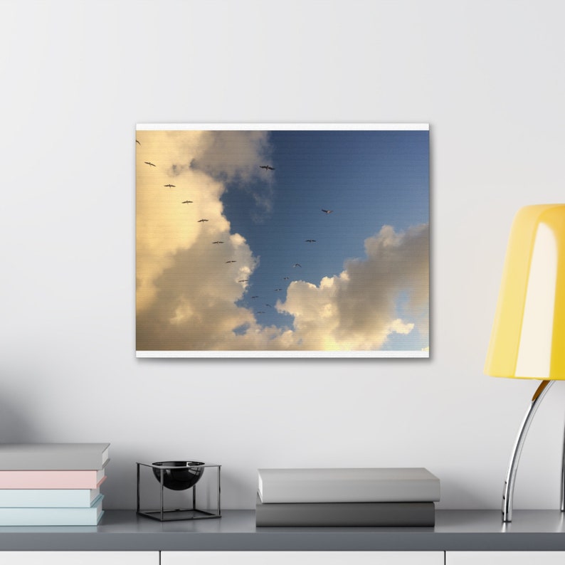 Aloft, Migrating Birds Above Hilton Head Island, Original Photography ...