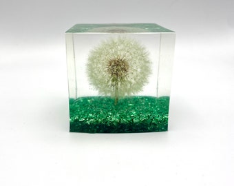 Unique Paperweight | Etsy