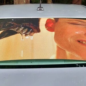 Custom Design Your Own Rear Window Mural, Decal for Rear Window on ...