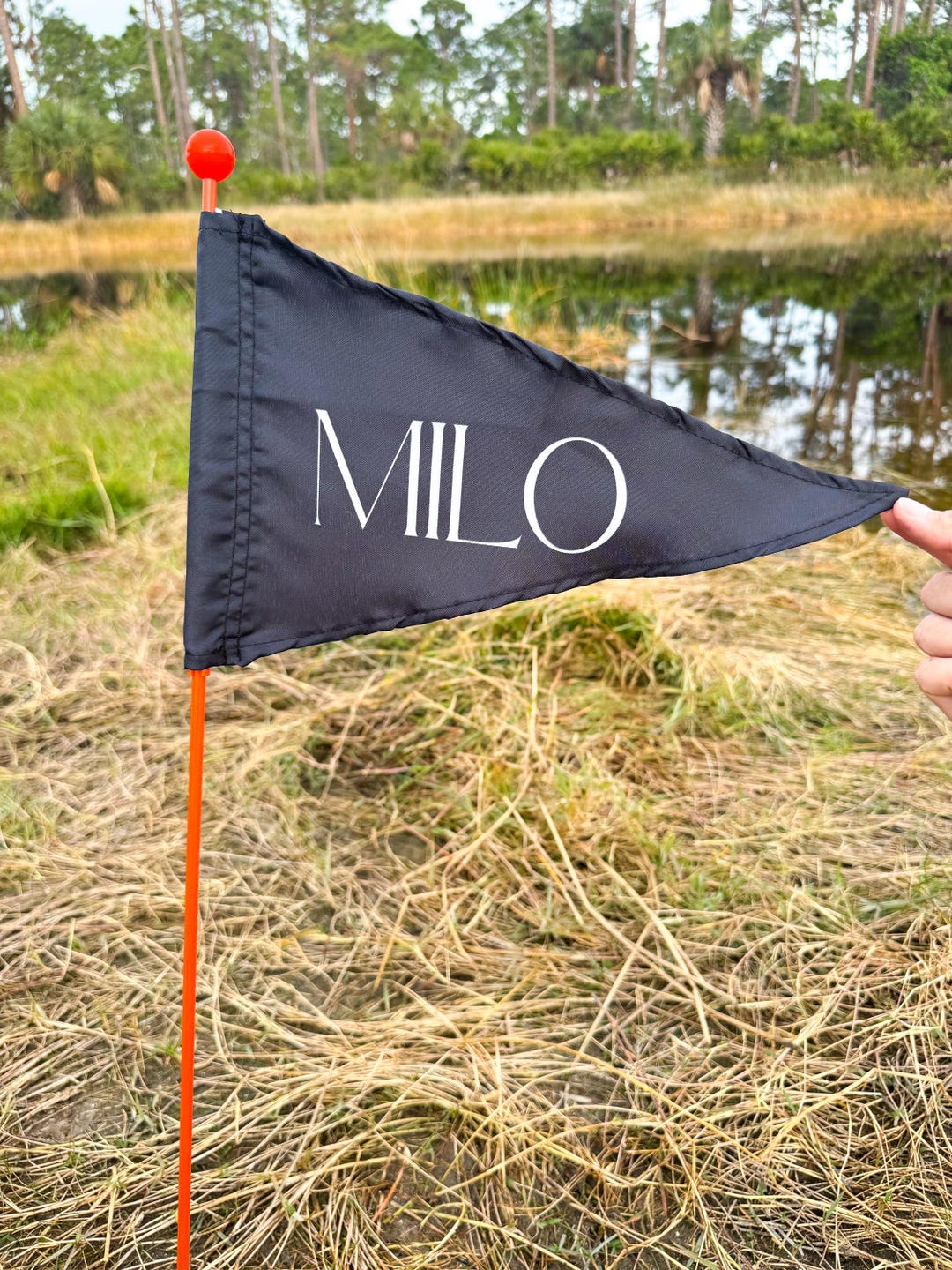 Custom Pennant Flags for Kids' Treehouses & Forts, Custom Name Flag ...