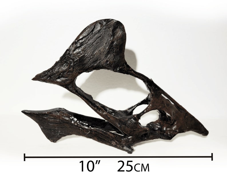 Museum Quality Pterosaur Skull tapejara Wellnhoferi - Etsy
