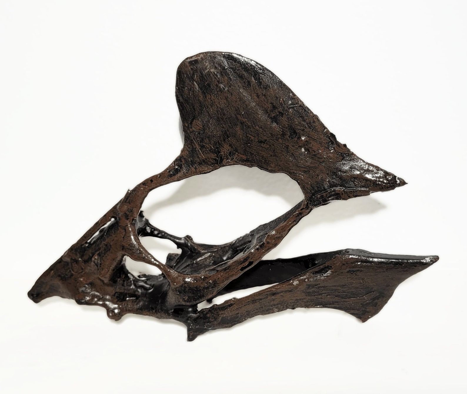 Museum Quality Pterosaur Skull tapejara Wellnhoferi - Etsy