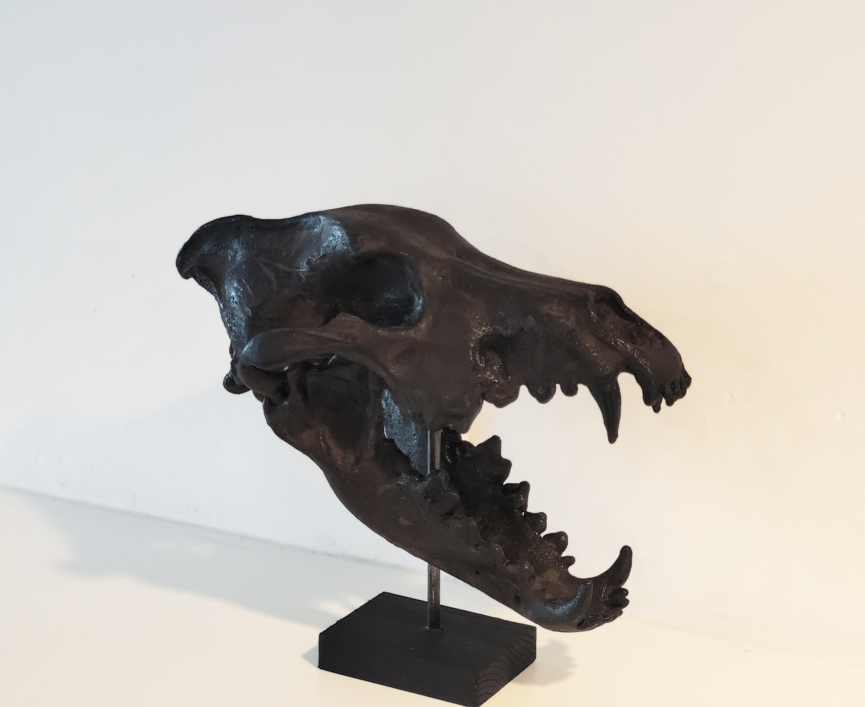 Dire Wolf Skull Sculpture - Etsy