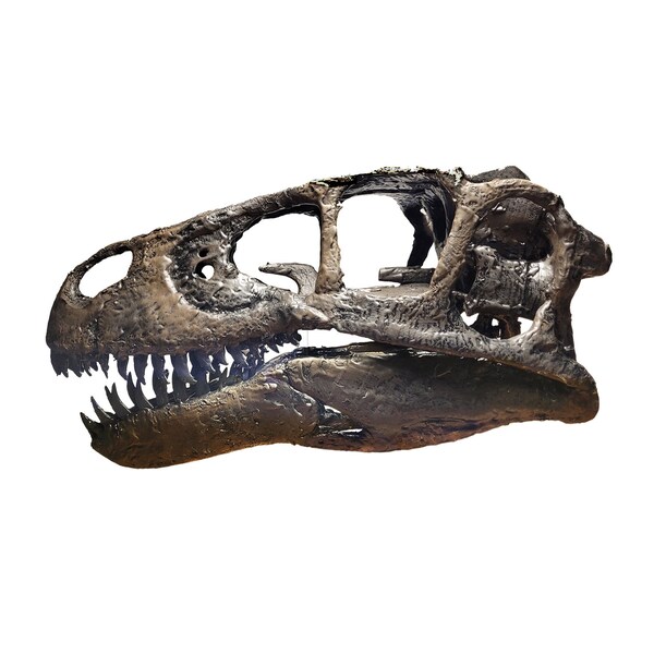 Life Size Dinosaur Sculpture - Etsy