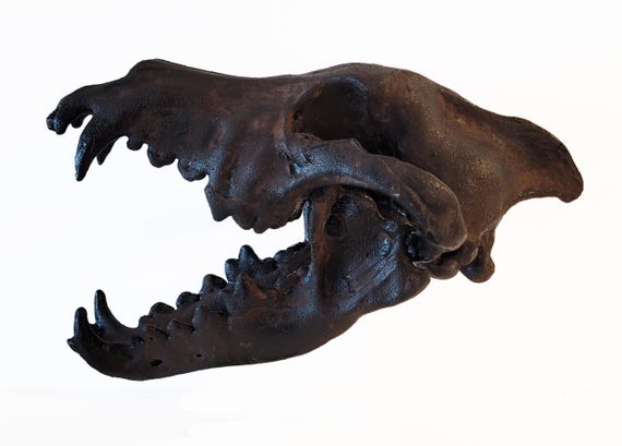 Dire Wolf Teeth