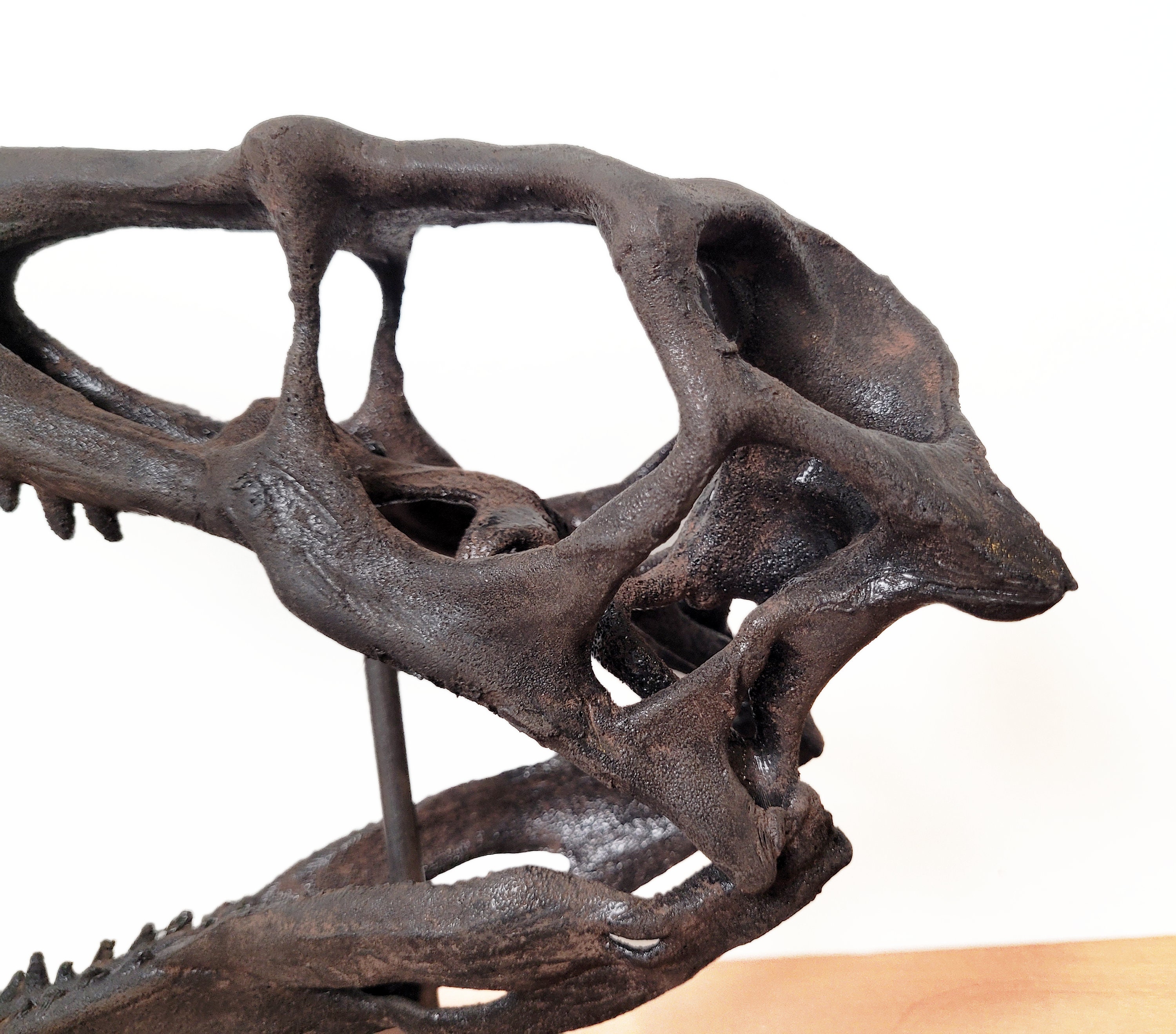 1:1 Museum Quality Velociraptor Skull Sculpture - Etsy