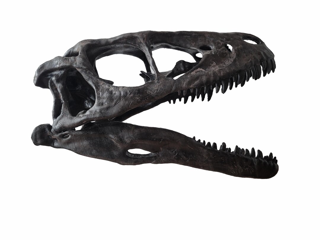 Life Size Deinonychus Skull Sculpture - Etsy Australia