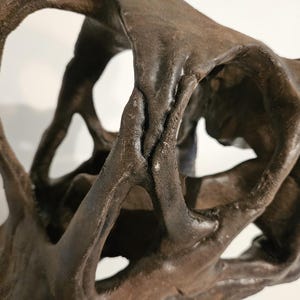 Museum Quality Brachiosaurus Skull Sculpture - Etsy
