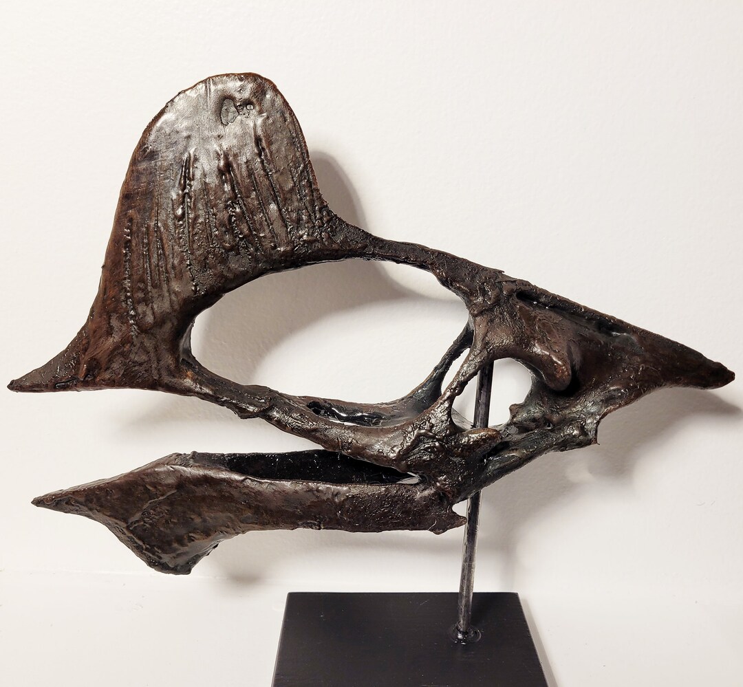 Museum Quality Pterosaur Skull tapejara Wellnhoferi - Etsy