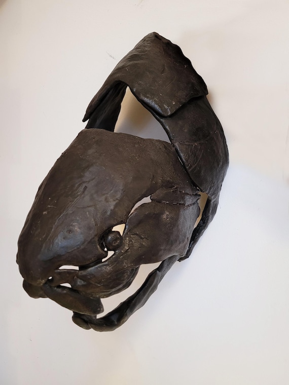 Dunkleosteus Skull Side View