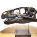 Life Size Utahraptor Skull - Etsy Canada