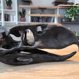 Terror Bird Skull: Museum Quality Life Sized Sculpture - Etsy