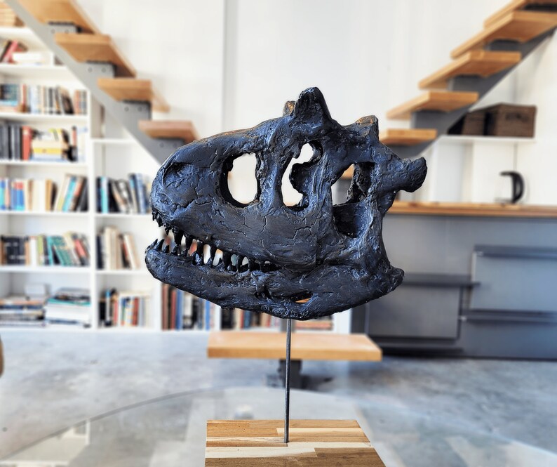 Life Size Museum Quality Carnotaurus Skull Sculpture - Etsy