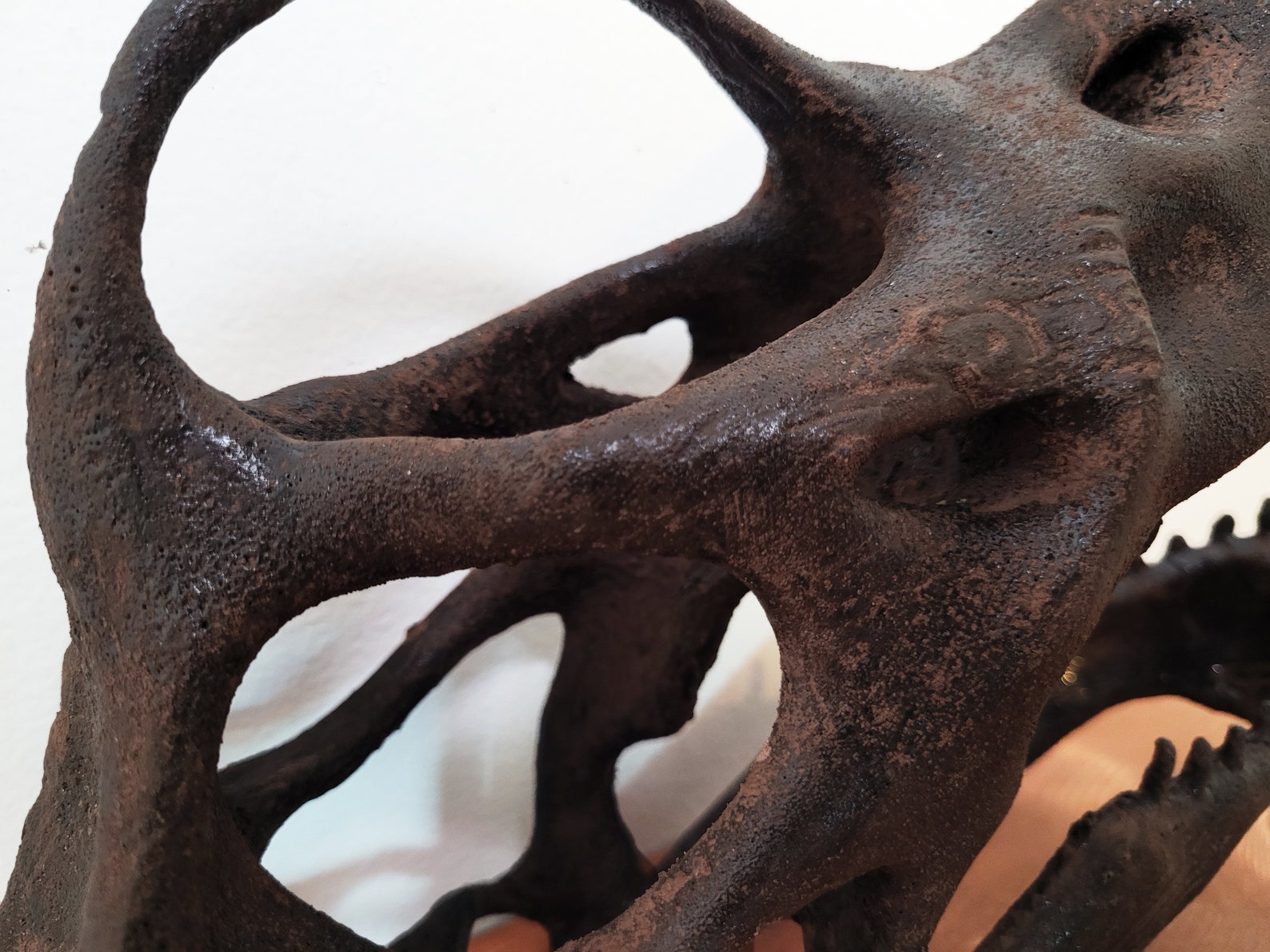 Museum Quality Brachiosaurus Skull Sculpture 30CM - Etsy