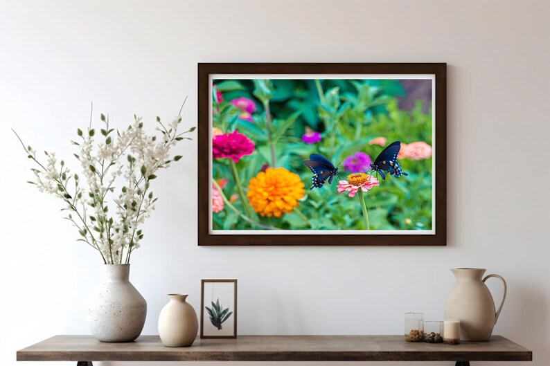 Butterfly Photo - Landscape Photography, Tropical Wall Art, Artist ...