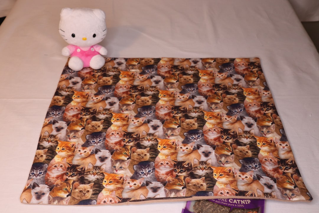 Cat Play Mats With Optional Catnip #1 - Handmade - Etsy